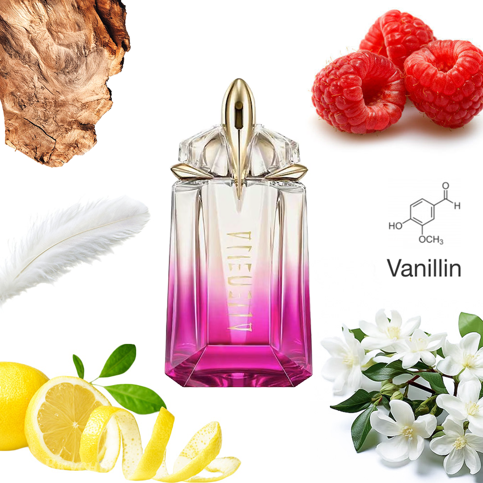 Mugler Alien Pulp – Olena's Aroma Shop